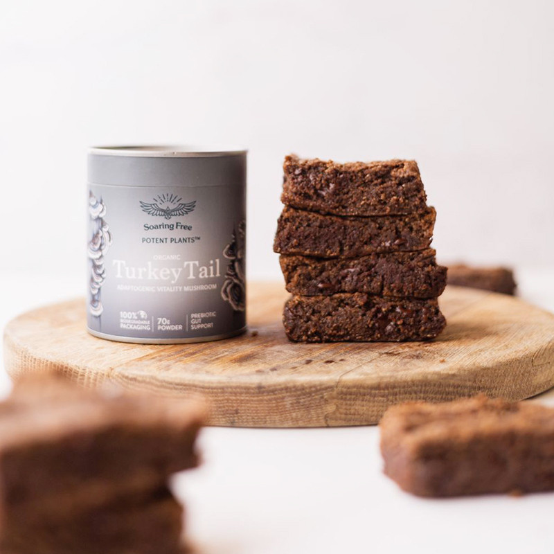 Buy Soaring Free Turkey Tail Powder Online | Faithful to Nature