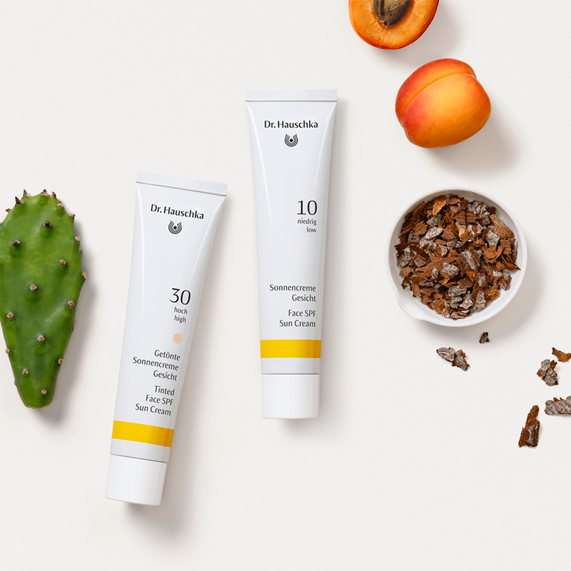 Buy Dr. Hauschka SPF30 Tinted Sun Cream Online | Faithful to Nature