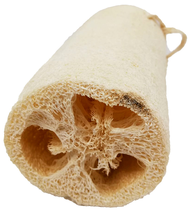 Buy Woman-Kind Round Loofah with Band Online | Faithful to Nature