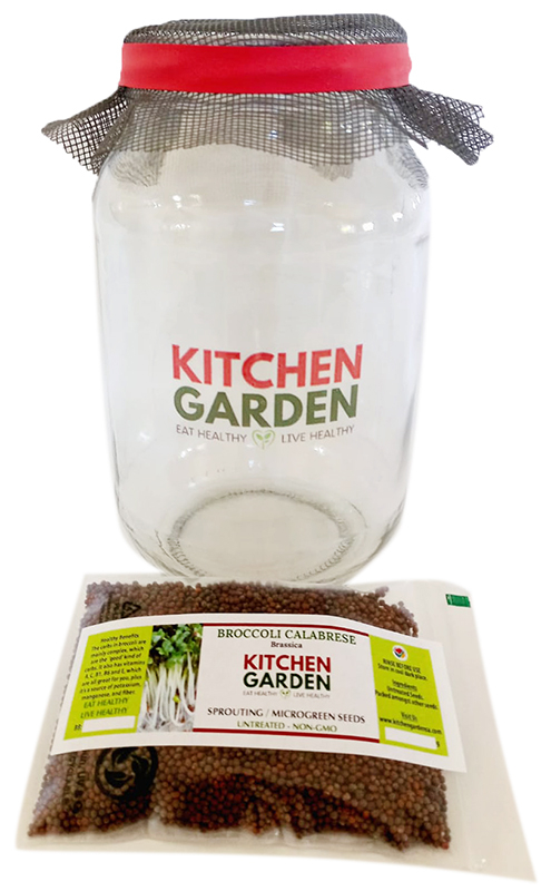 Buy Kitchen Garden Single Sprouter Set - Broccoli Seeds Online ...