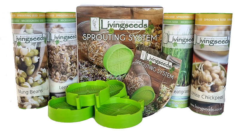 Buy Living Seeds Sprouting System Online | Faithful to Nature