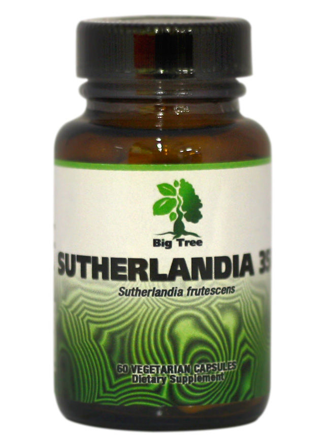 Buy Big Tree Sutherlandia Online | Faithful to Nature