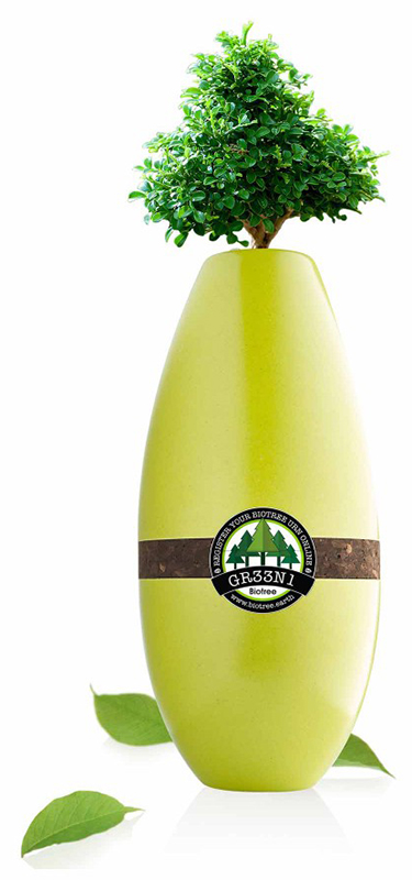 Buy Biotree Urn for Animals Online | Faithful to Nature